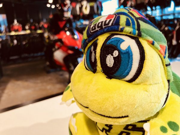 VR46/TURTLE PLUSH TOYのご紹介☆